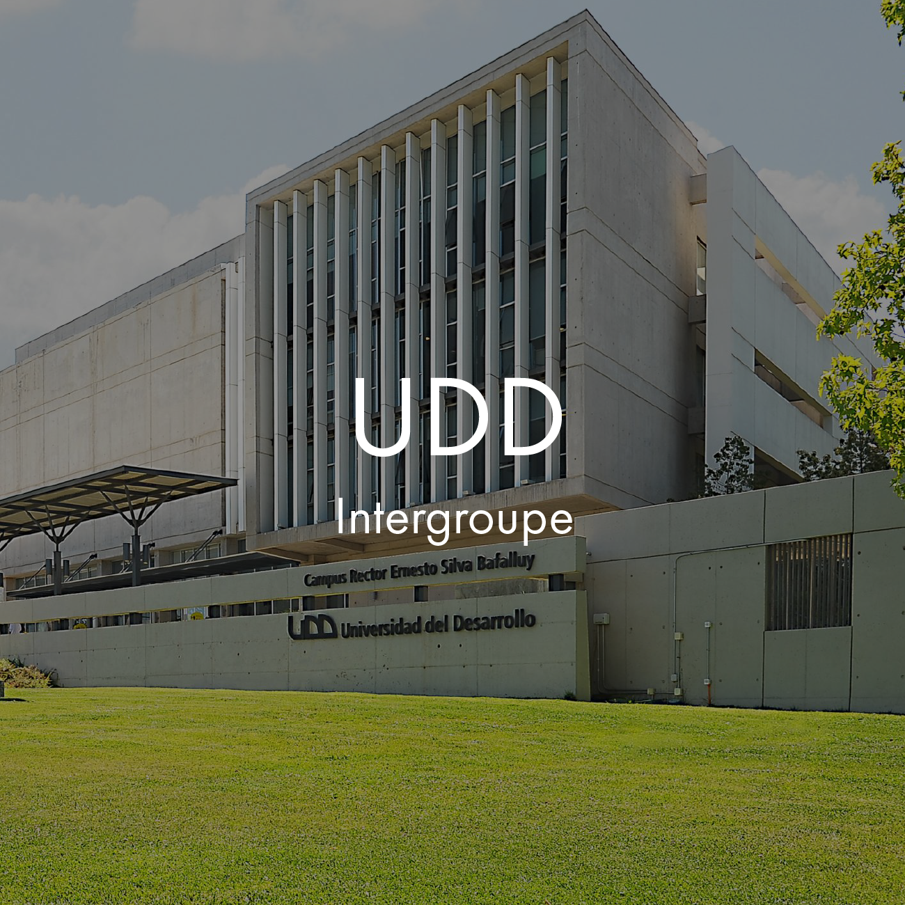 Conoce nuestros Proyectos | Duers